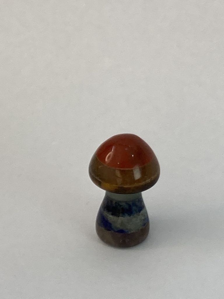 Chakra Mushroom Crystal, Mushroom Gemstone, 7 Stone Chakra Mushroom ...